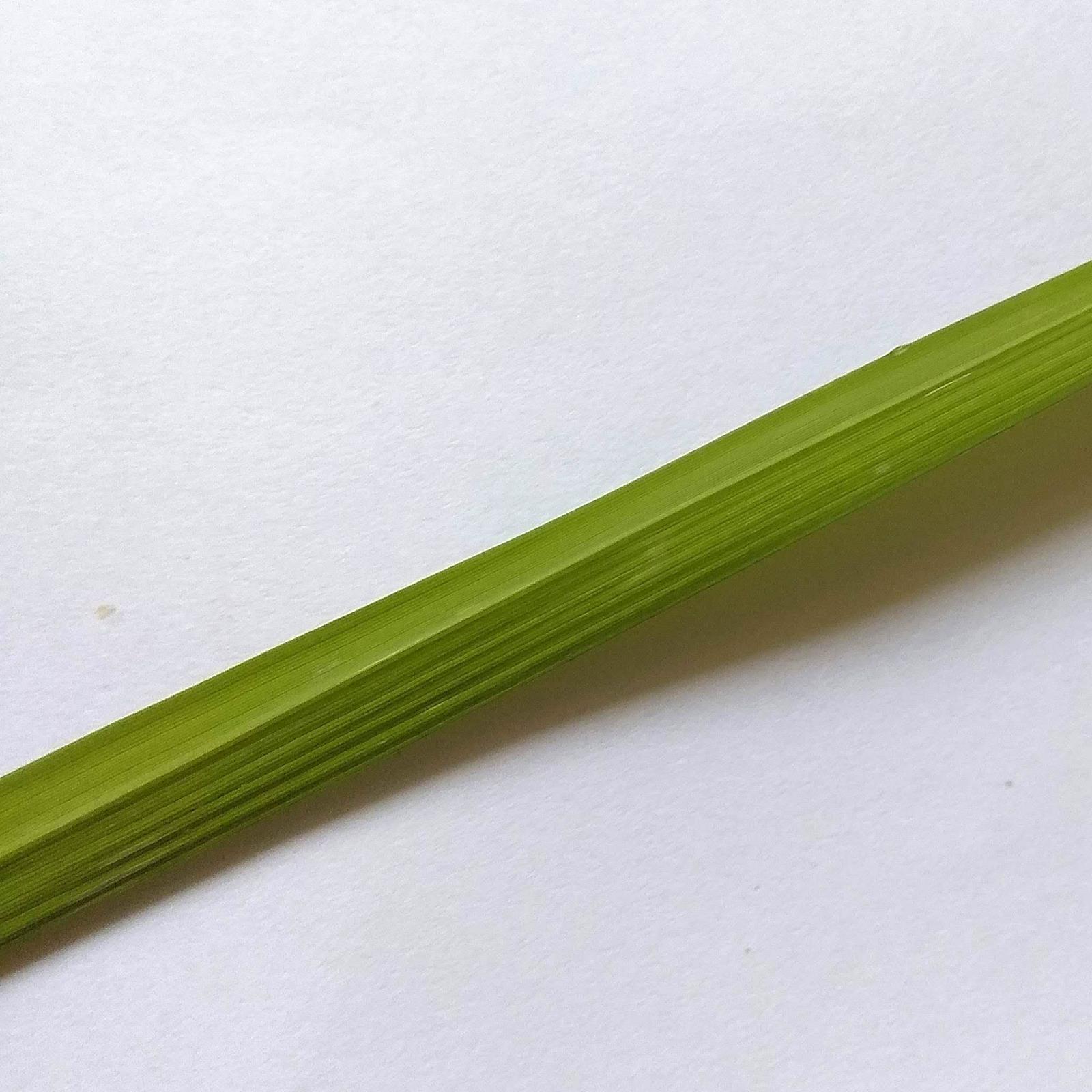 Dayat - Roboflow Universe