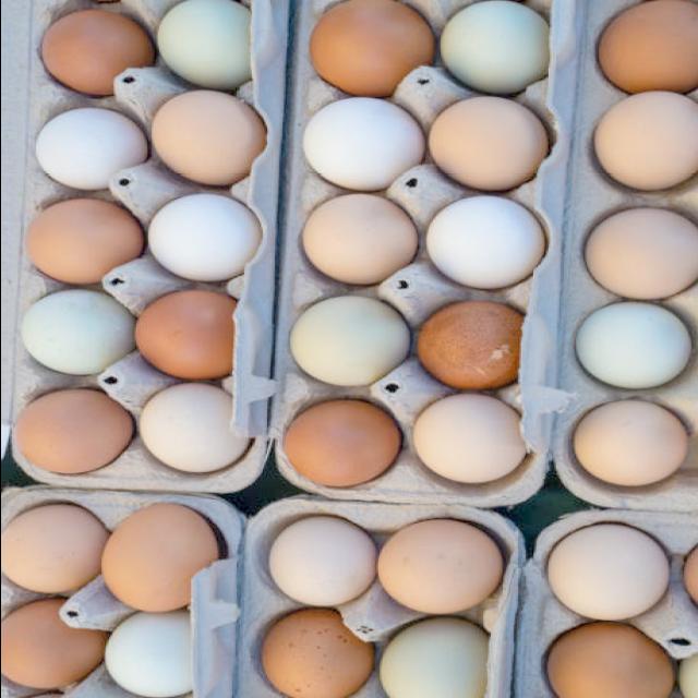 Egg Dataset Object Detection Dataset and Pre-Trained Model by GoSeeri Dataset