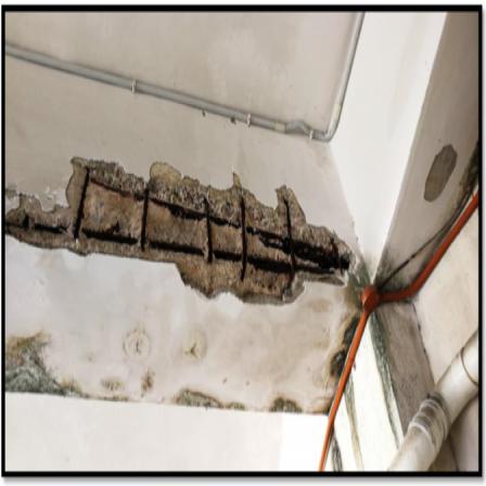 Crack_detection_experiment Instance Segmentation Dataset and Pre-Trained Model by Palmdetection