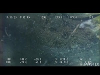 Underwater trash segmentation Instance Segmentation Dataset by Underwater trash detection workspace