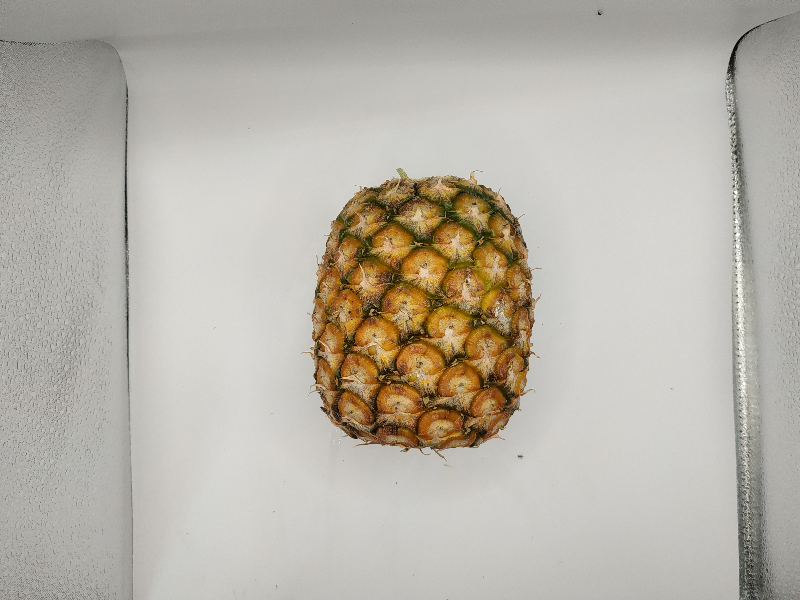 Pineapple Object Detection Dataset by PigPig
