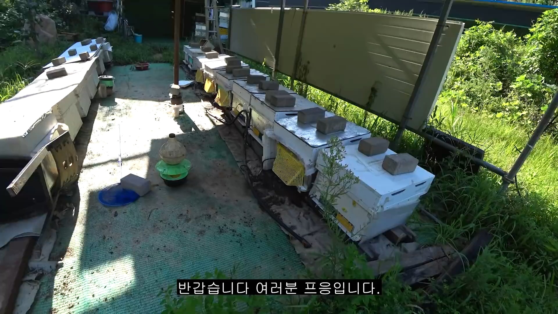 Beehive Objectdetection Object Detection Dataset By Beehive