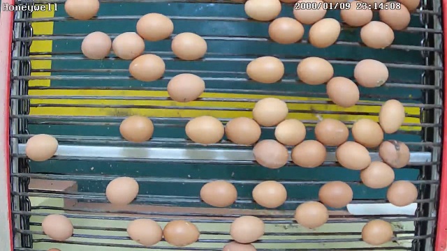 Egg Detection V1 Object Detection Dataset By Lazydev