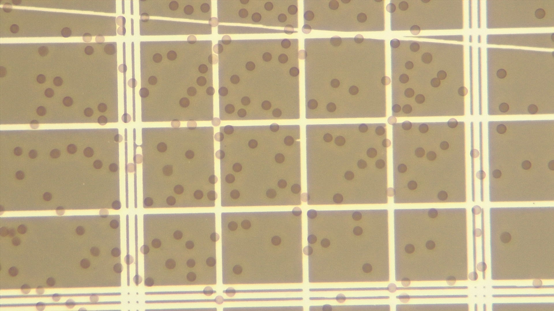 How to Use the Count Cells Object Detection API