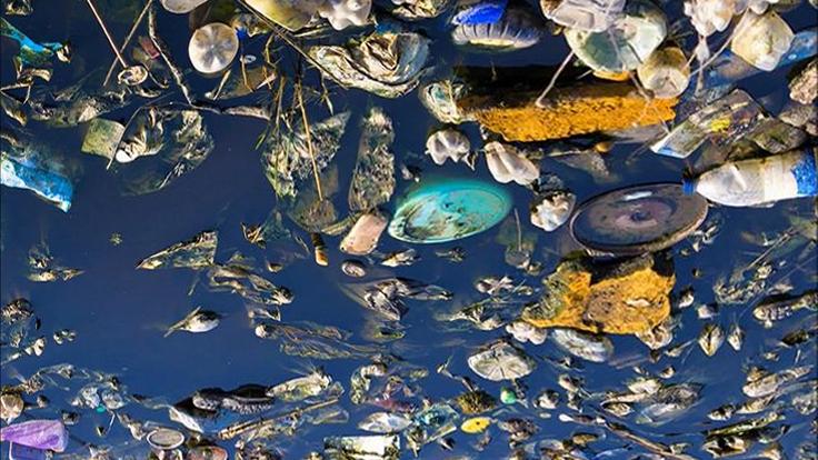 Plastic Pollution Object Detection Dataset by hamdi ali