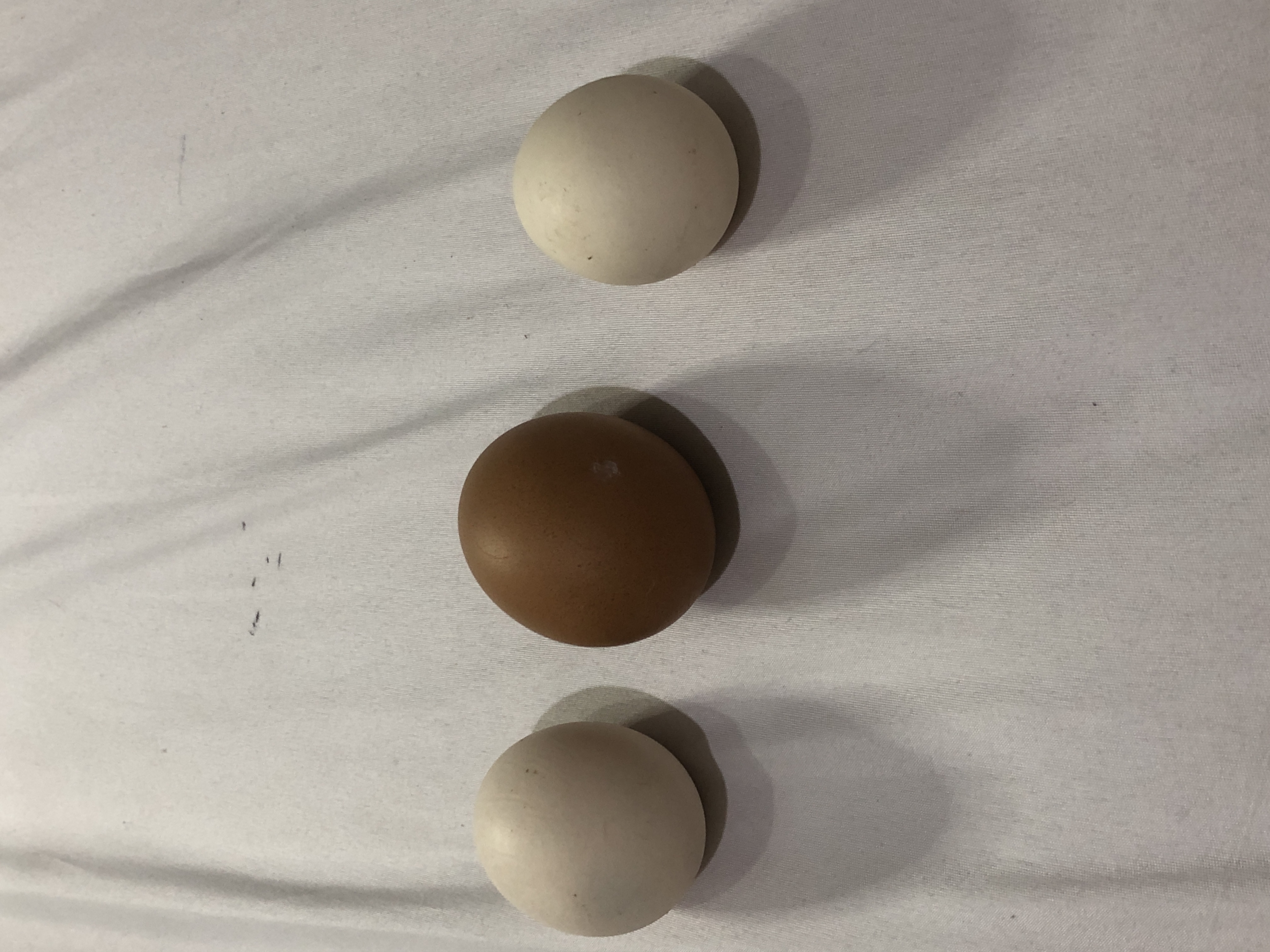 Egg Image Recognition Object Detection Dataset and Pre-Trained Model by Universitas Airlangga