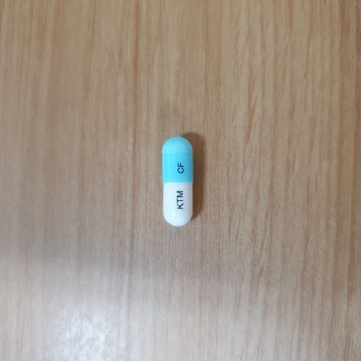 Pill Object Detection Dataset By Project Fahpn
