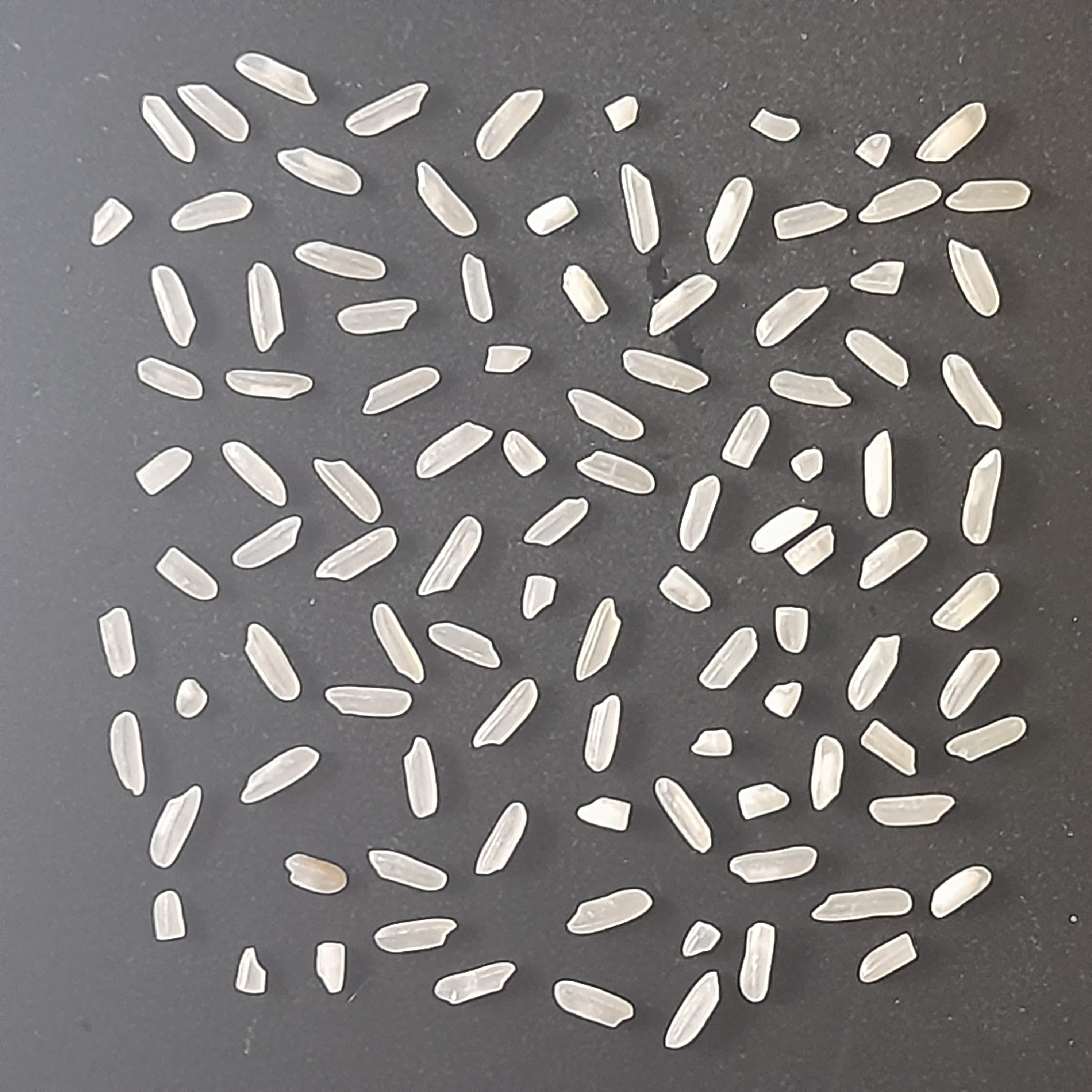 Rice Instance Segmentation Dataset by Assad Resi