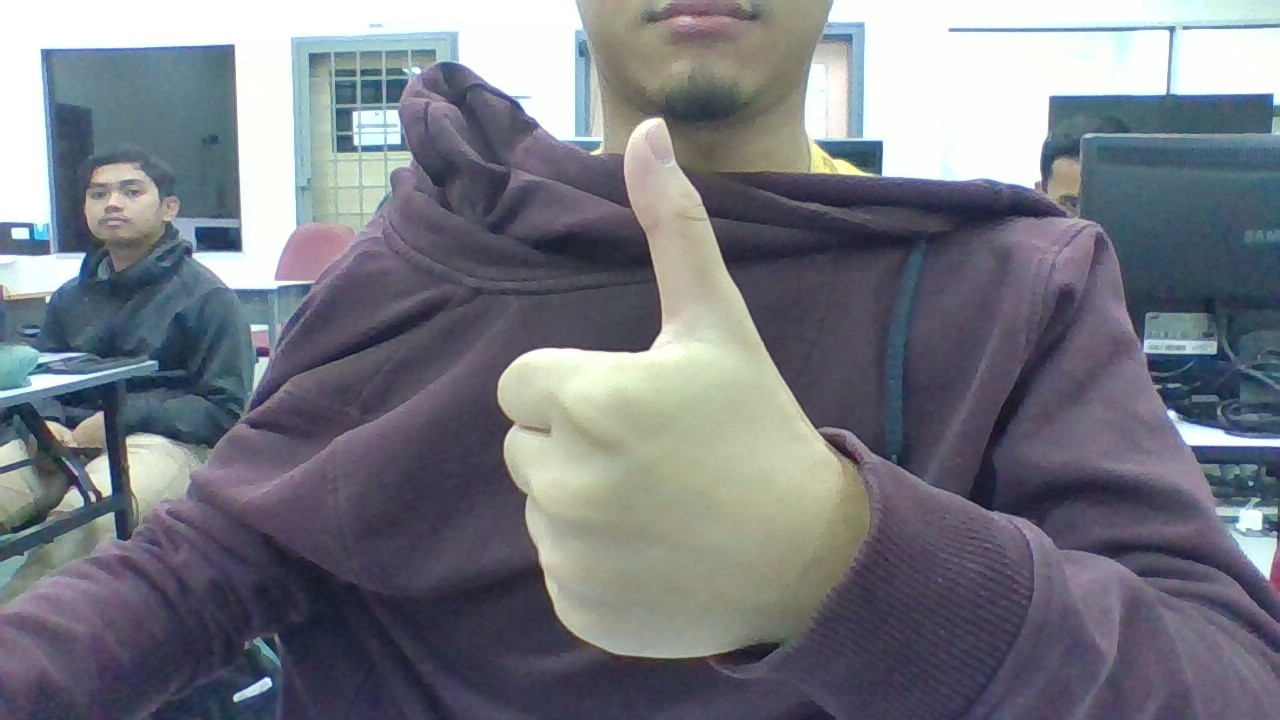 thumbs dataset Object Detection Dataset by KPTPACE