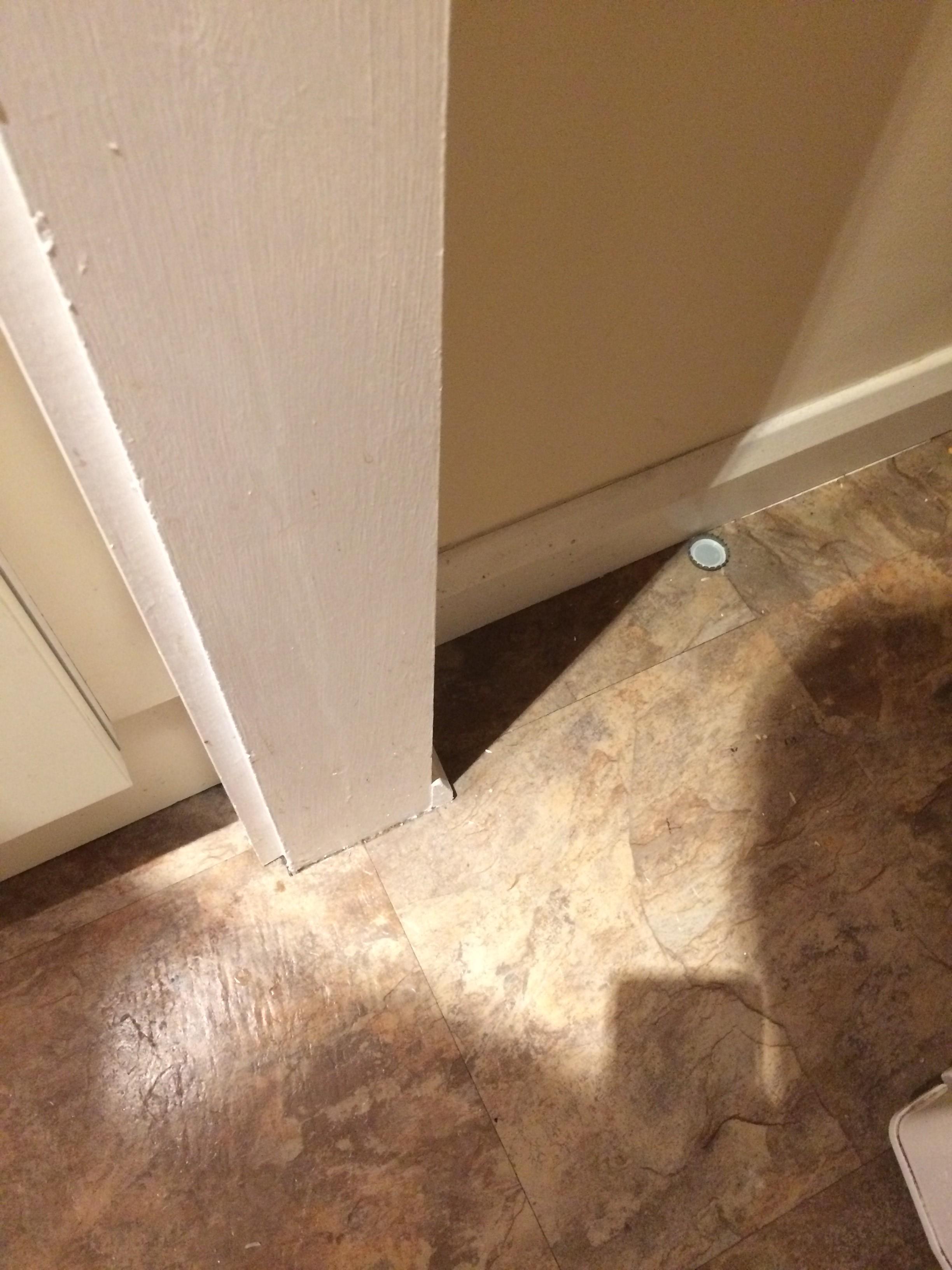 TACO Object Detection Dataset by Sungkyunkwan Universitiy