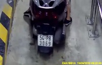 License Plate Recognition Object Detection Dataset and Pre-Trained Model by Roboflow Universe ...