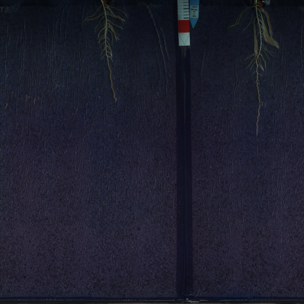 How to Use the roots Object Detection API