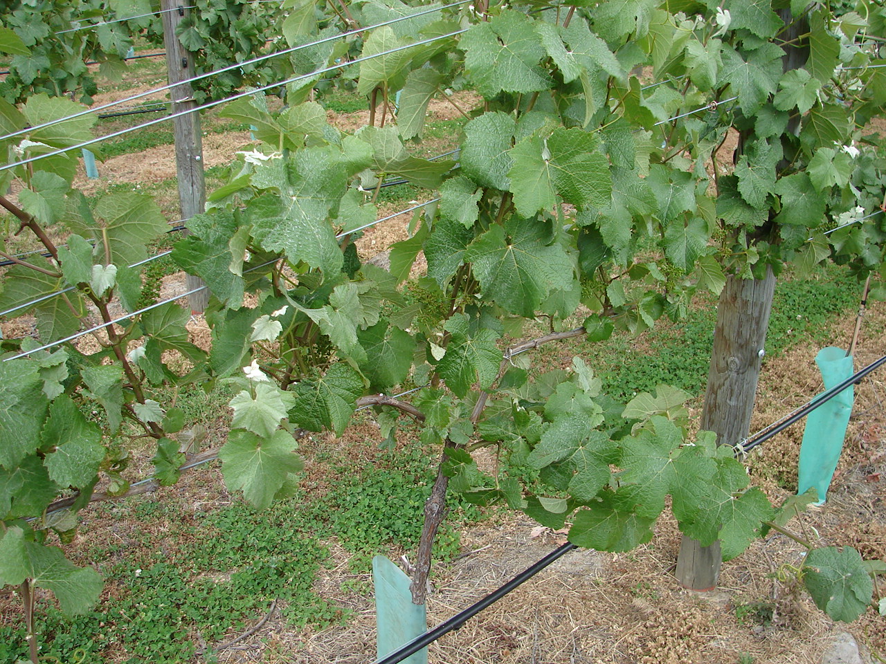 ML Assignment Object Detection Dataset and Pre-Trained Model by class