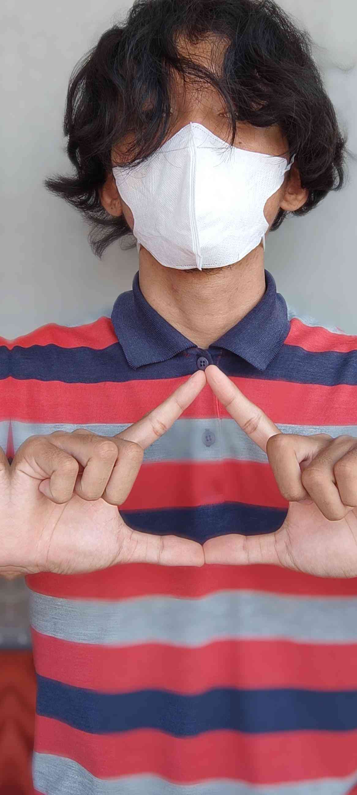 BISINDO_Alphabet Object Detection Dataset by Project A