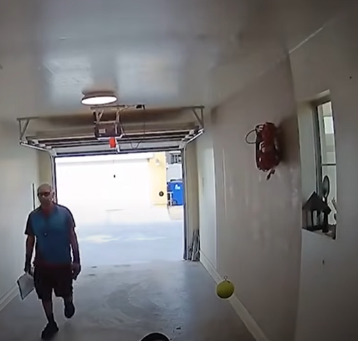 human-detection Object Detection Dataset and Pre-Trained Model by ...