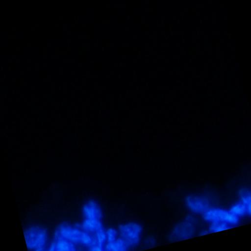 roboflow in roboflow Instance Segmentation Dataset by detectron2