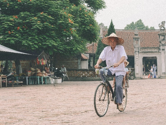 Monkey Detection Object Detection Dataset and Pre-Trained Model by dataset