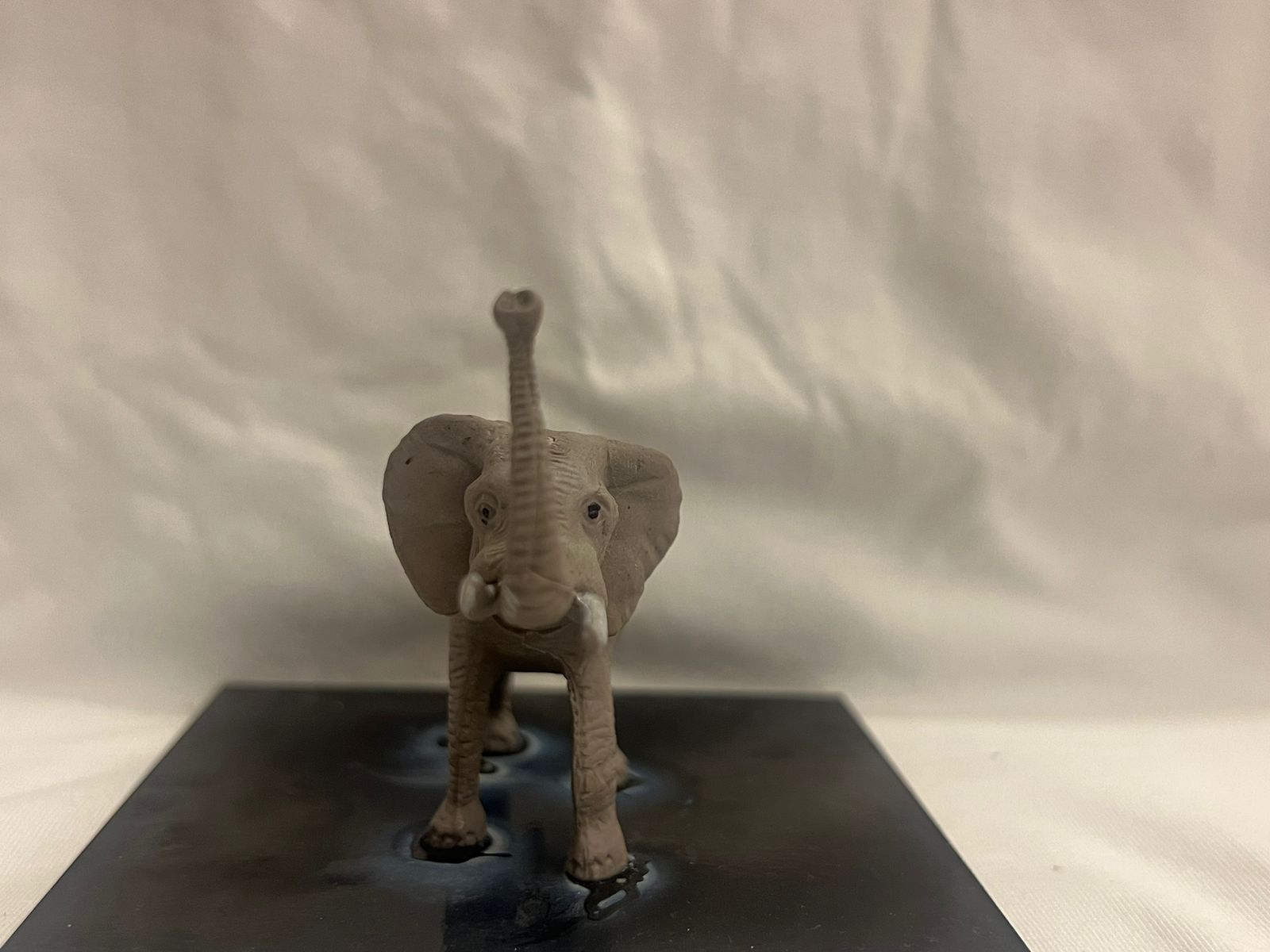 animals Object Detection Dataset by animals