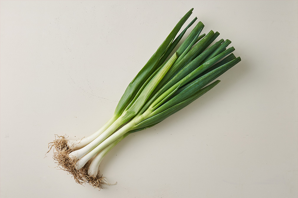 leek Object Detection Dataset by foodanno