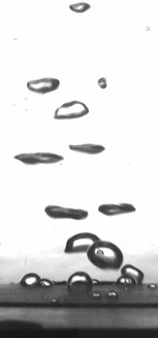 bubble Object Detection Dataset by ML