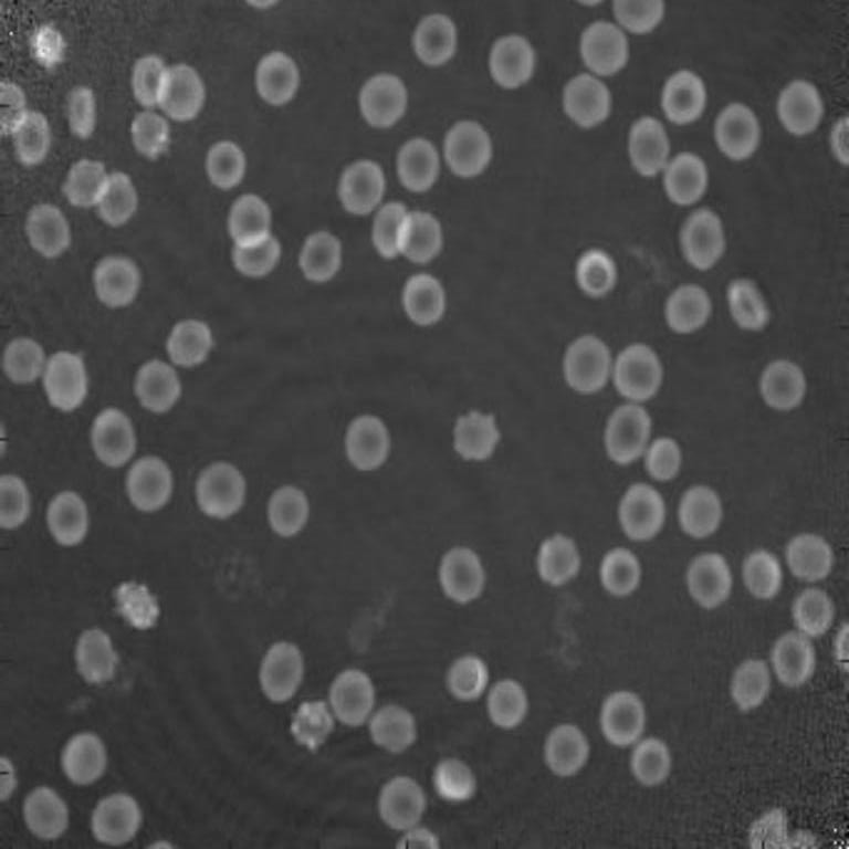 seg_over Instance Segmentation Dataset and Pre-Trained Model by School